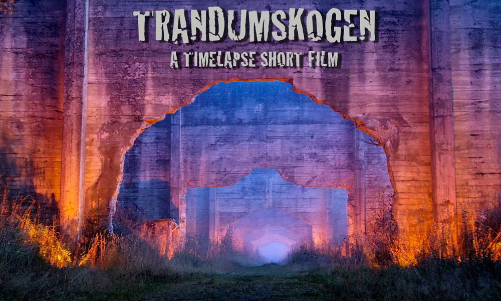 Trandumskogen, the spooky-lapse you don't want to watch before falling ...